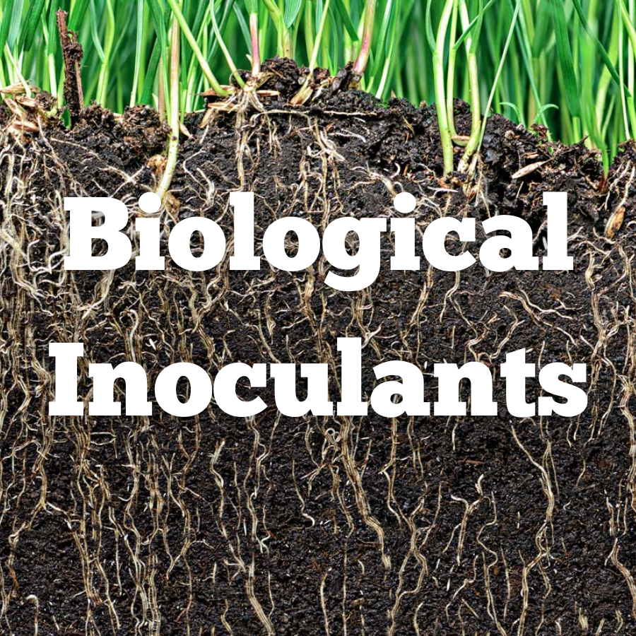 Biological Inoculants – Healthy Soil Organics