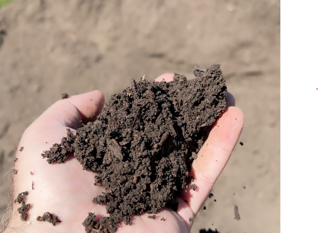 Order Bulk Soil, Mulch, Compost & Sand from HealthySoilOrganics ...